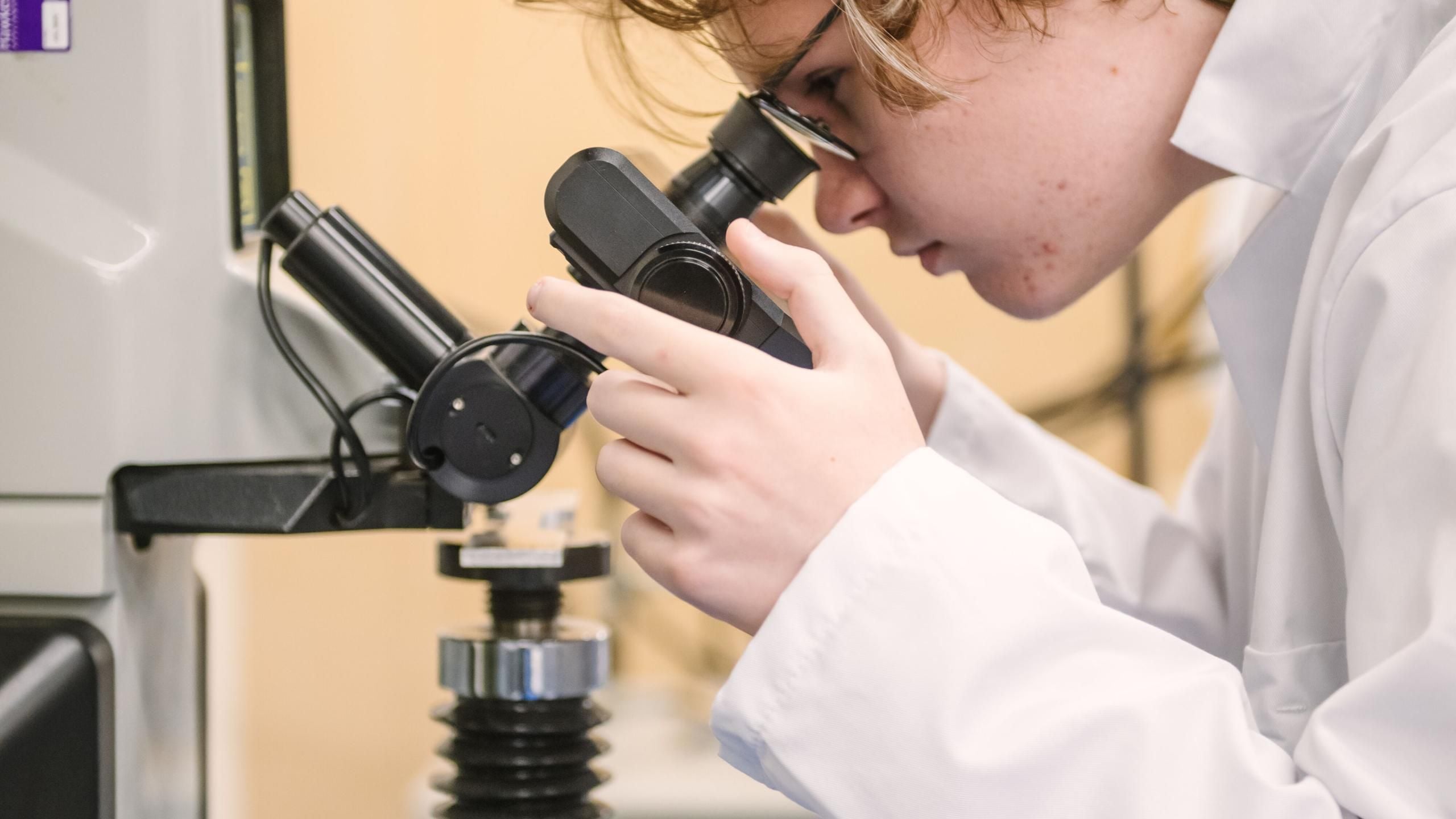 Biomedical Science: Haematology MSc | Kingston University London