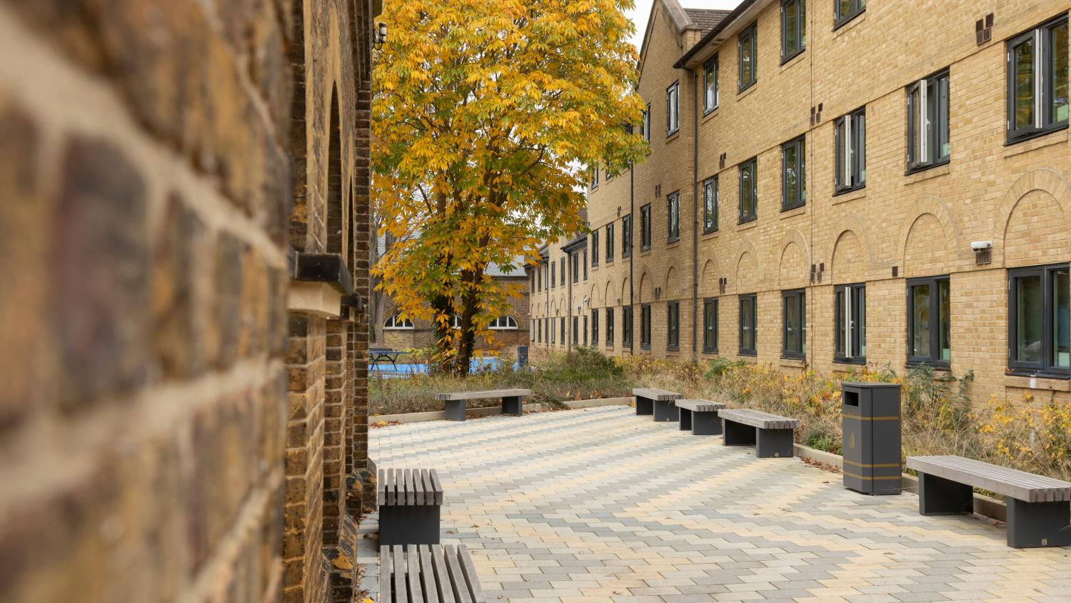 Study | Kingston University London