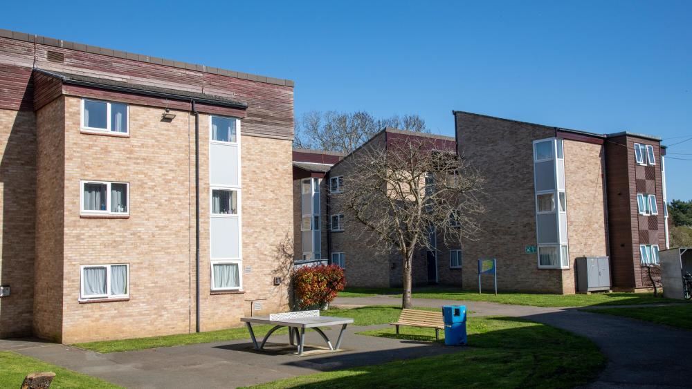 Seething Wells | Kingston University London