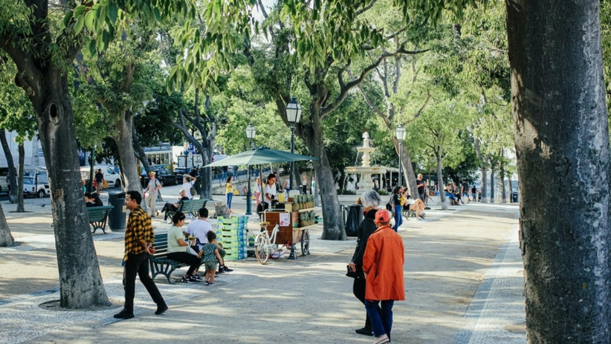 Kingston University receives funding from FIFA to investigate role of ...