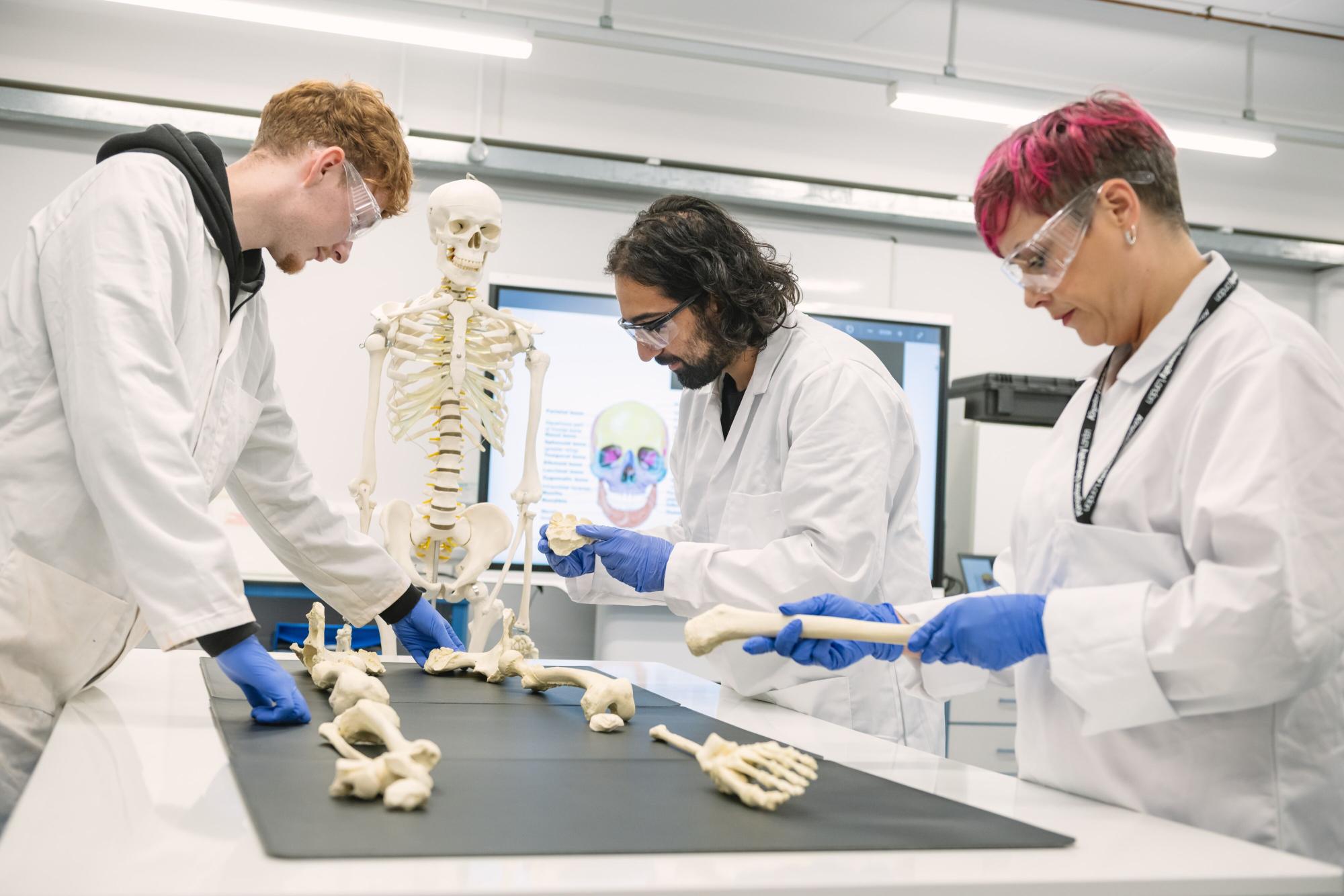 Forensic Science BSc (Hons) | Kingston University London