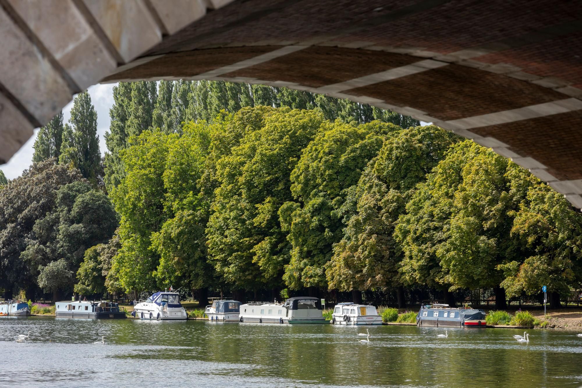 Experience | Kingston University London