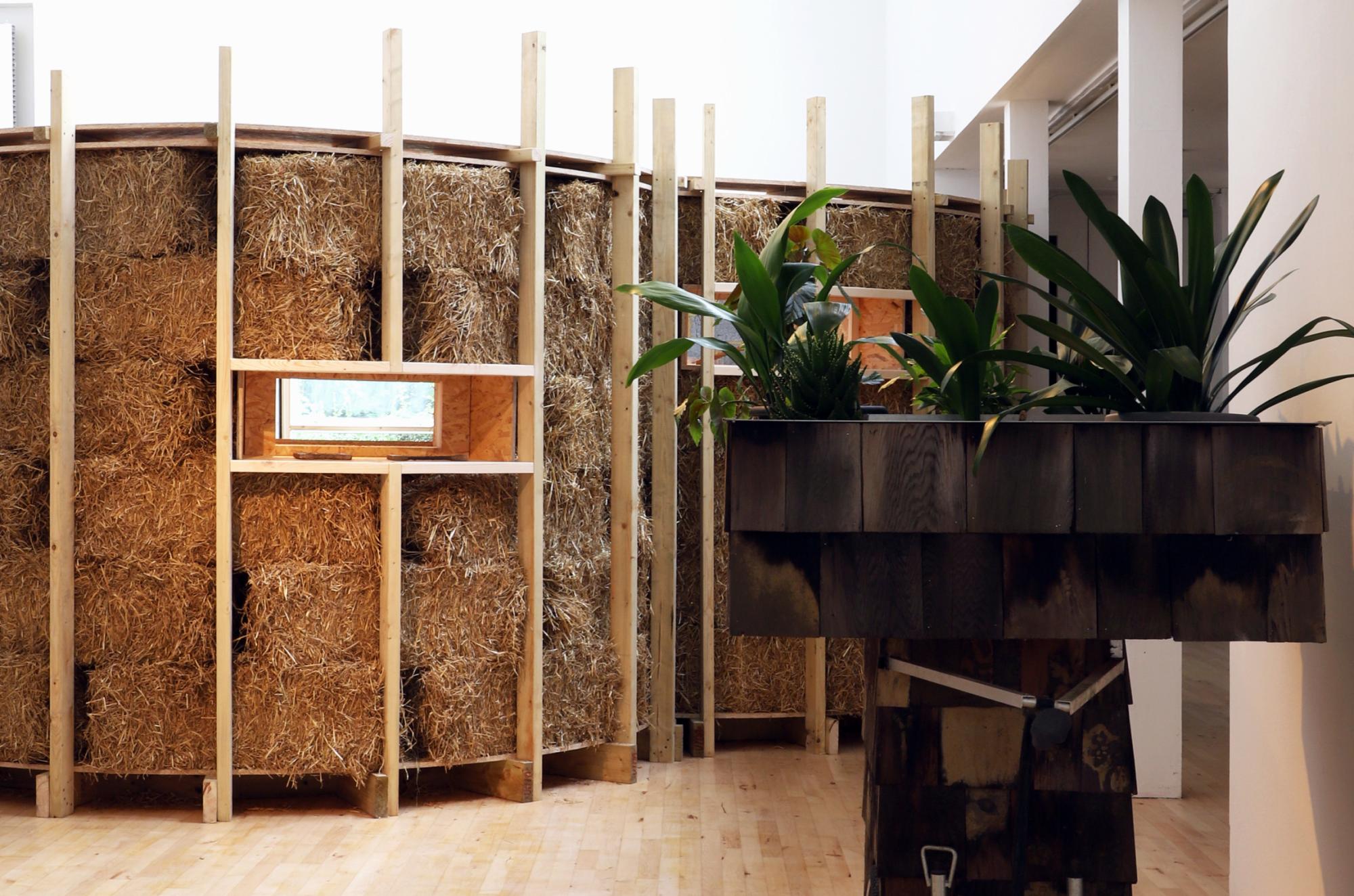 Kingston University's Stanley Picker Gallery unveils decade of ...